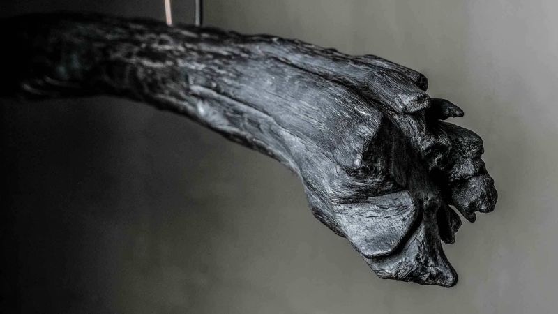 Burnt Tree Branch Pendant Lamp from Wdstck