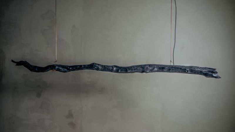 Burnt Tree Branch Pendant Lamp from Wdstck