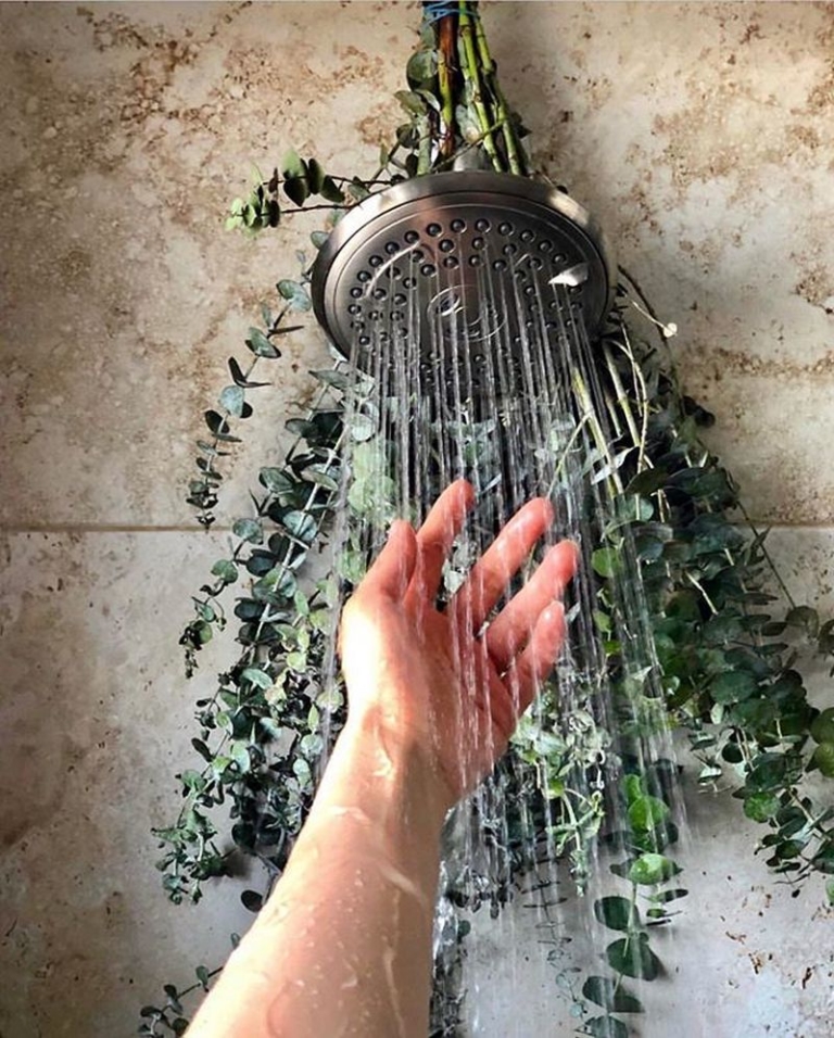 What is Eucalyptus Shower & Why is it a Popular Instagram Trend