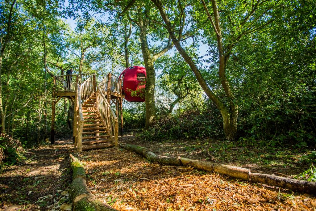 You can Rent This Spherical Treehouse for $145