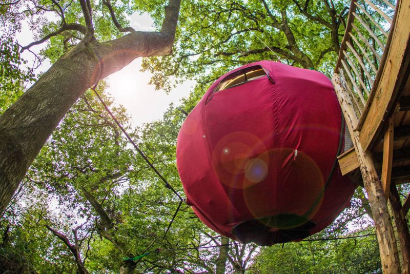 You can Rent This Spherical Treehouse for $145