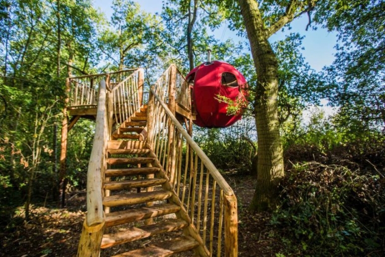 You can Rent This Spherical Treehouse for $145
