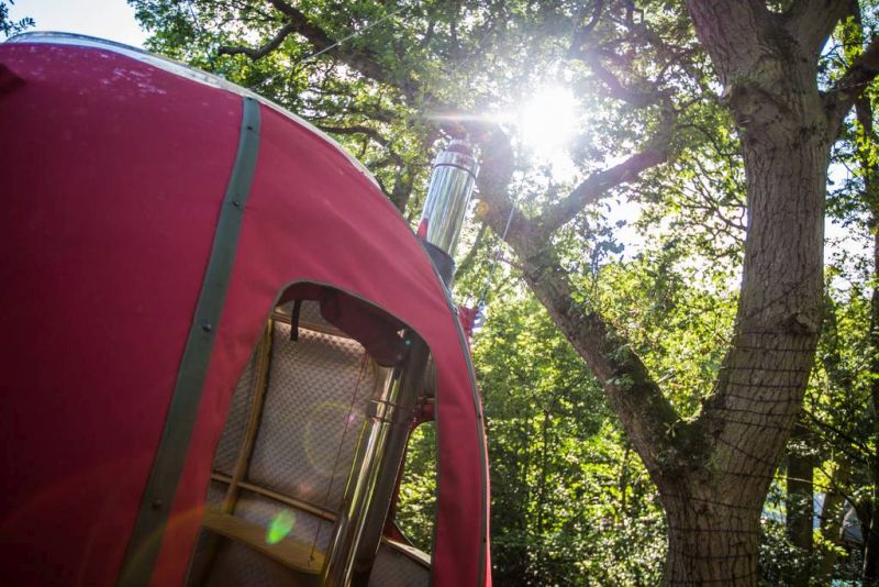 You can Rent This Spherical Treehouse for $145