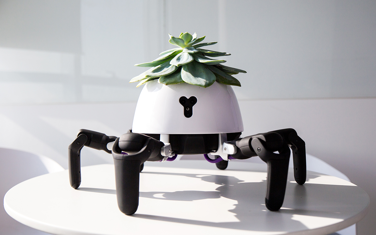 Vincross Hexa Robot Planter Chases Sun When it Needs Light
