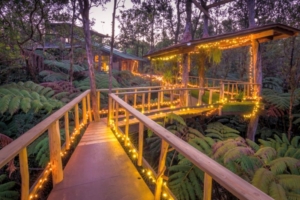 You can Rent Volcano Treehouse in Hawaii for $350 (Pictures)