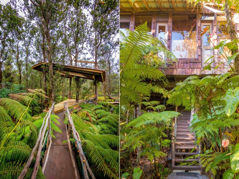 You can Rent Volcano Treehouse in Hawaii for $350 (Pictures)
