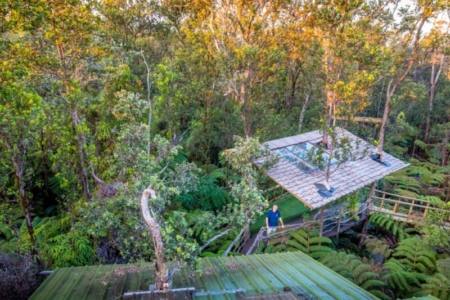 You can Rent Volcano Treehouse in Hawaii for $350 (Pictures)