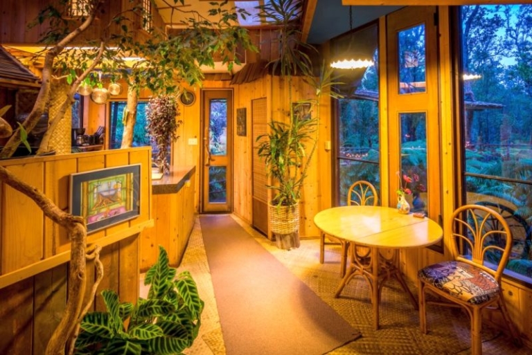 You can Rent Volcano Treehouse in Hawaii for $350 (Pictures)