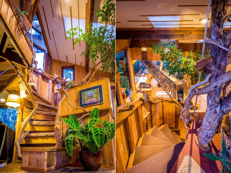 You can Rent Volcano Treehouse in Hawaii for $350 (Pictures)