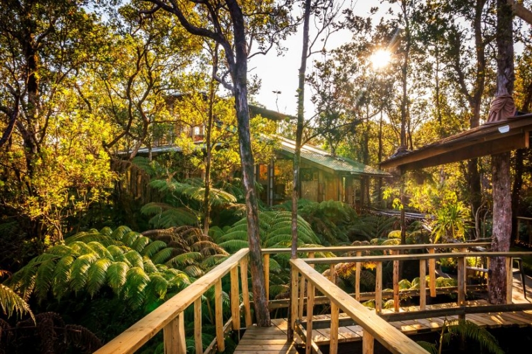 You can Rent Volcano Treehouse in Hawaii for $350 (Pictures)