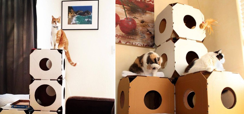 Build Your Kitty a Mansion with Catty Stacks' Cat Condos