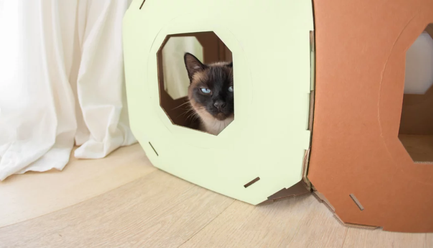 Build Your Kitty a Mansion with Catty Stacks' Cat Condos