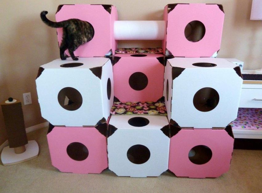 Build Your Kitty a Mansion with Catty Stacks' Cat Condos