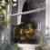 This Motion-Activated Window Witch will Creep out Trick-or-Treaters