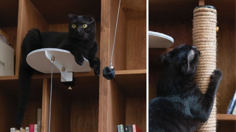 Catssup Hacks into Existing Furniture to Create Virtual Cat Treehouse