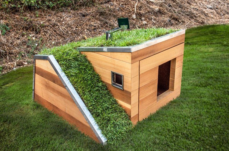 Studio Schicketanz's Dog House Features Green Roof, Automated Faucet