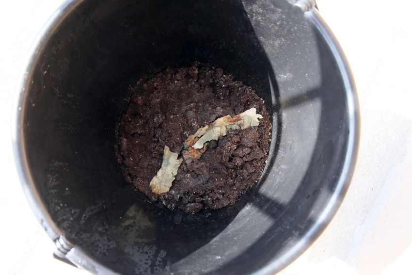 Potato Plastic: Biodegradable Material to Make One Time Use Products