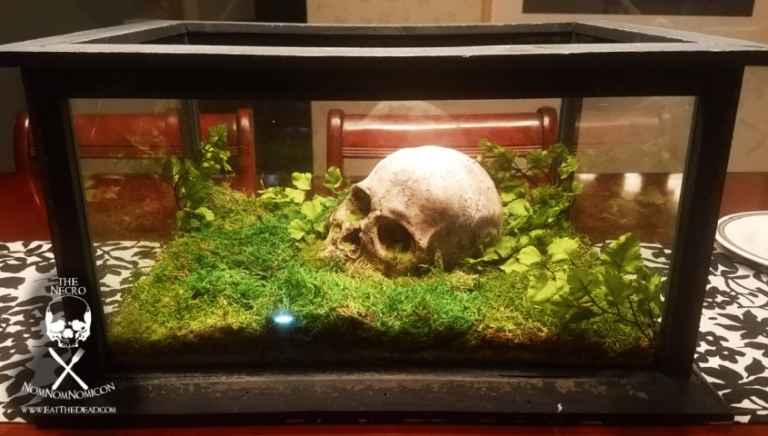 DIY Skull Terrarium by Eat The Dead