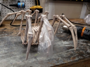 How to Corpse a Skeleton Prop for Halloween