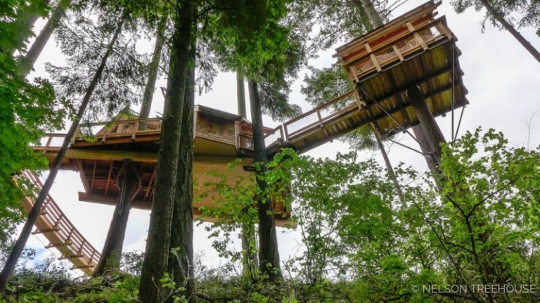 Pete Nelson’s Rustic Treehouse in Oregon premieres on Treehouse Masters