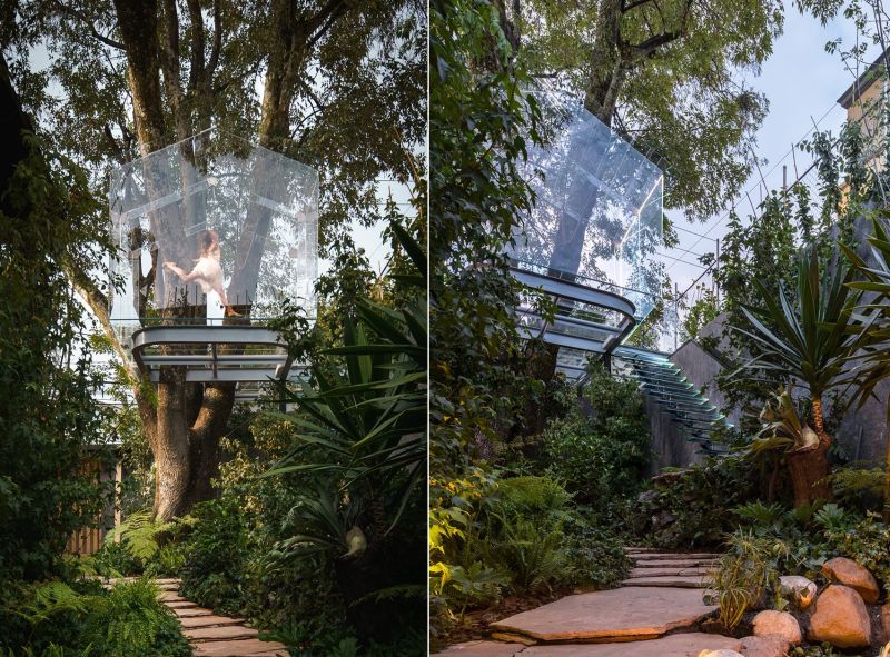 Gerardo Broissin Creates Transparent Treehouse Using Glass