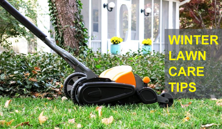 Winterizing Your Lawn: Effective Winter Lawn Care Tips