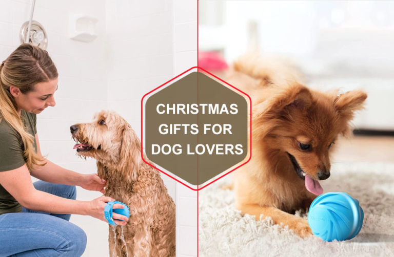 10+ Unique Christmas Gifts for Dogs in 2021