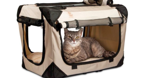 Delta CarePod Pet Carrier to Improve Air Travel Experience for Dogs, Cats