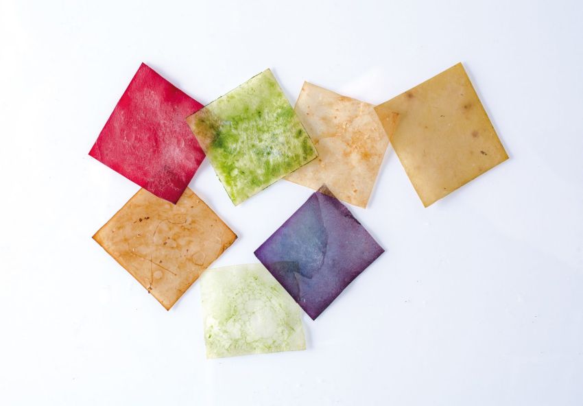 From Peel to Peel: Eco-friendly Packaging Made From Bacteria & Yeast
