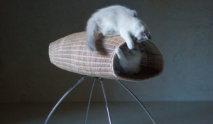 Baco Cat Bed Gives Kitty a Cozy Place to Doze Off High Above the Rest