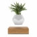 DIY Levitating Planter You’ll Want on Your Coffee Table