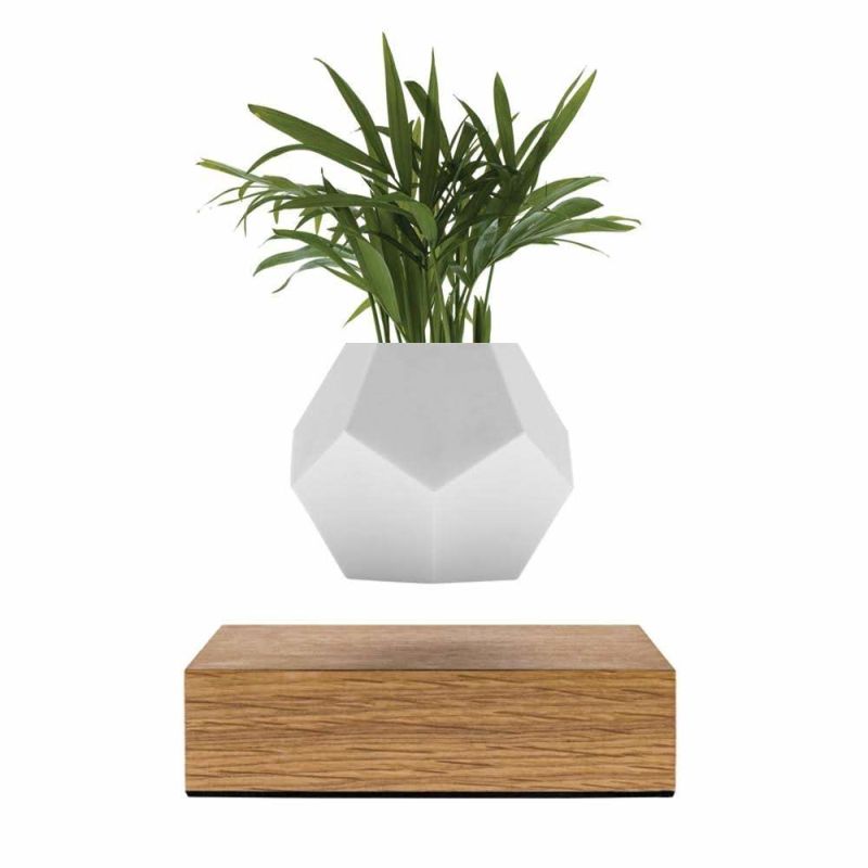 DIY Levitating Planter You’ll Want on Your Coffee Table