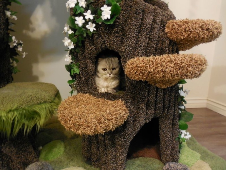 Realistic Cat Tree by the Hollywood Kitty Company
