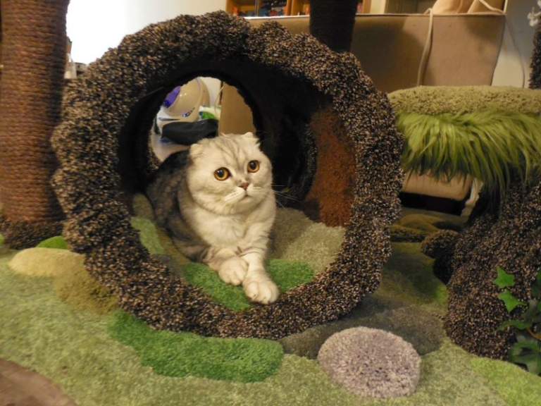 Realistic Cat Tree by the Hollywood Kitty Company