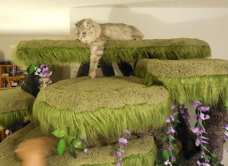 Realistic Cat Tree by the Hollywood Kitty Company