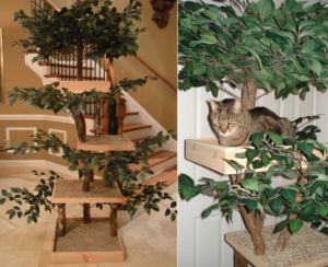 Ready-to-Assemble Real Wood Cat Tree Kits
