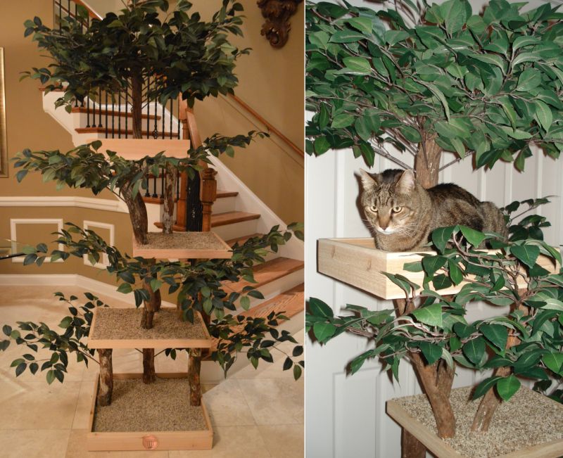 Ready-to-Assemble Real Wood Cat Tree Kits