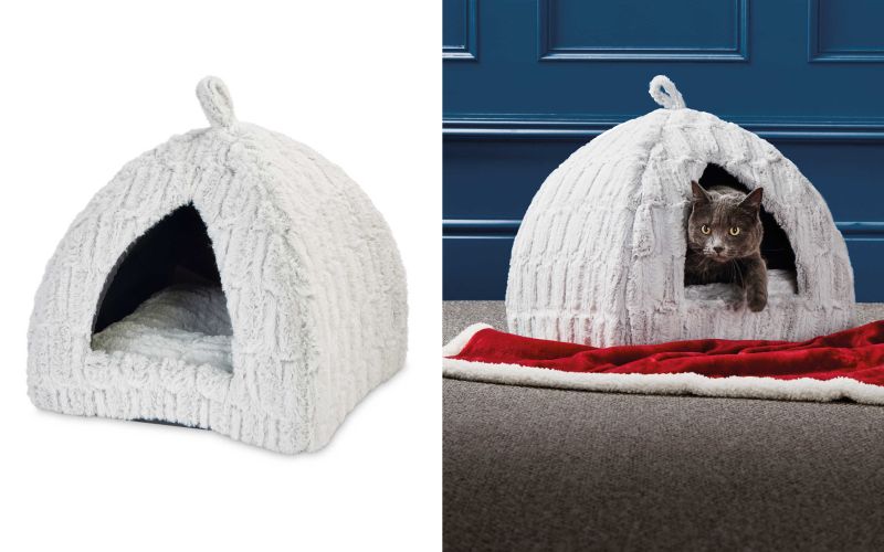 Aldi UK Launches New Range of Pet Specialbuys