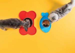Aldi UK Launches New Range of Pet Specialbuys