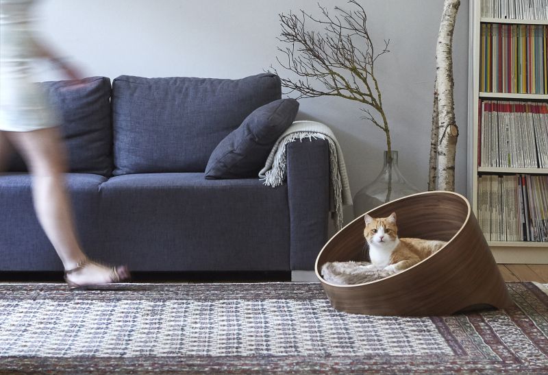 20 Best Designer Cat Beds You can Buy Online in 2021