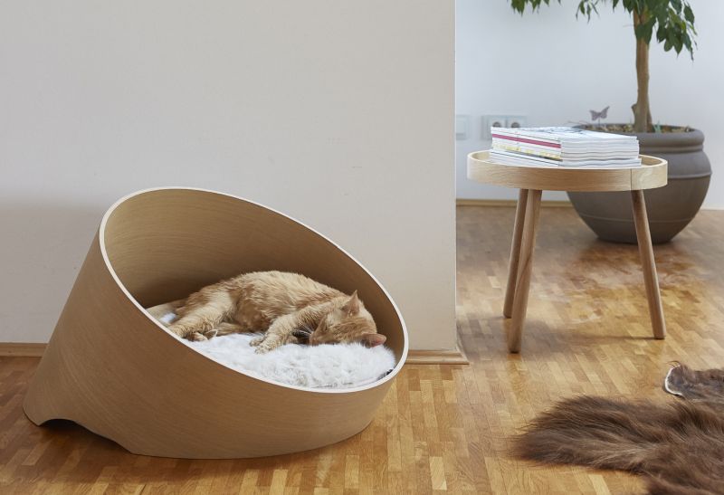 20 Best Designer Cat Beds You can Buy Online in 2021
