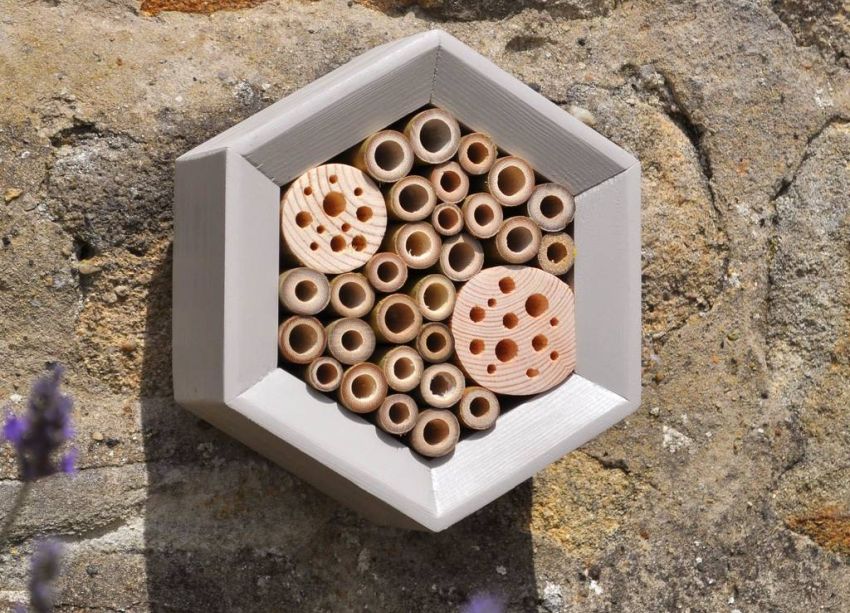 Honeycomb Solitary Bee Hotel is Attractive Retreat for Wild Bees