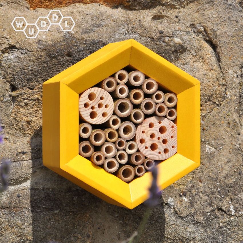 Honeycomb Solitary Bee Hotel is Attractive Retreat for Wild Bees