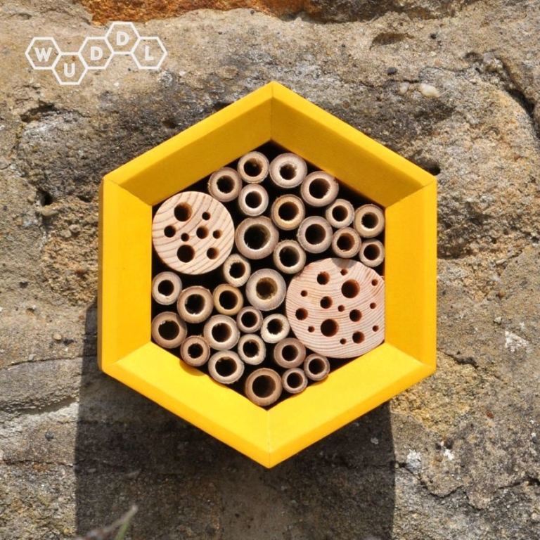 Honeycomb Solitary Bee Hotel is Attractive Retreat for Wild Bees