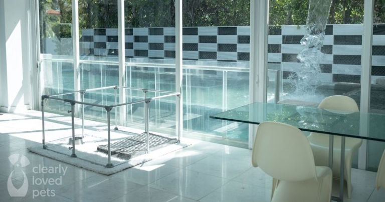 Lucidium Dog Pens by Clearly Loved Pets Feature Acrylic Walls