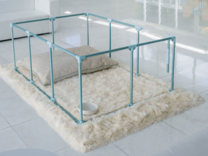 Lucidium Dog Pens by Clearly Loved Pets Feature Acrylic Walls