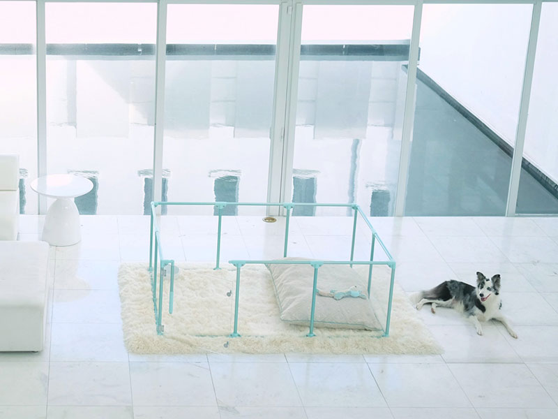 Lucidium Dog Pens by Clearly Loved Pets Feature Acrylic Walls