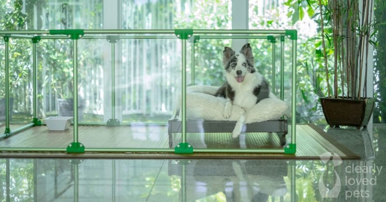 Lucidium Dog Pens by Clearly Loved Pets Feature Acrylic Walls