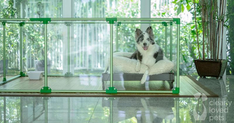 Lucidium Dog Pens by Clearly Loved Pets Feature Acrylic Walls