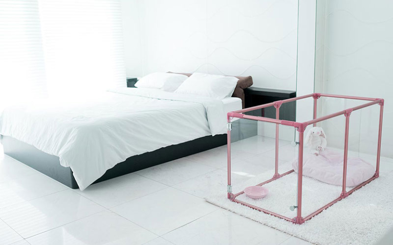 Lucidium Dog Pens by Clearly Loved Pets Feature Acrylic Walls